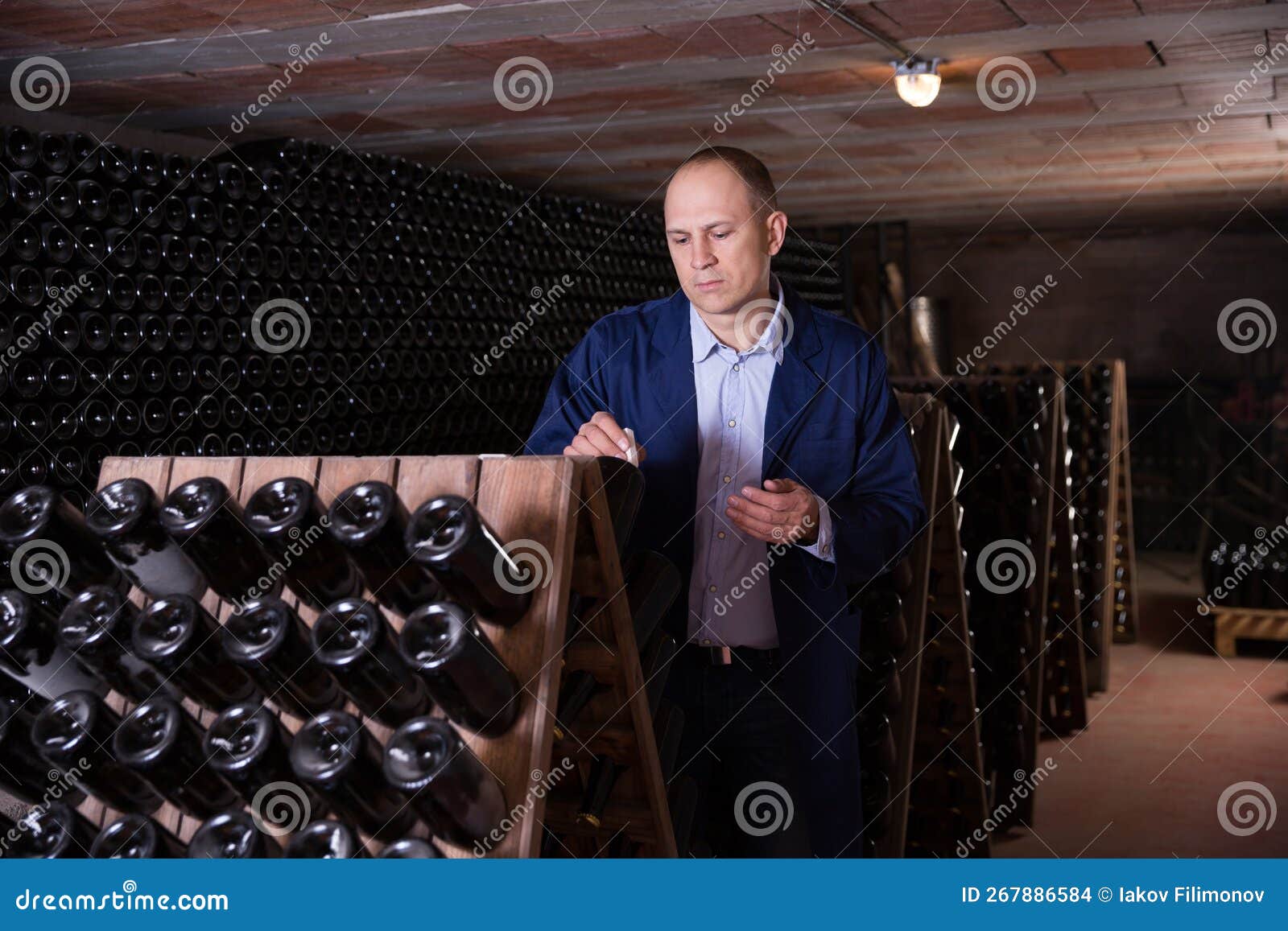 Male Inspecting Wine Bottles in Wine Cellar Stock Photo - Image of ...