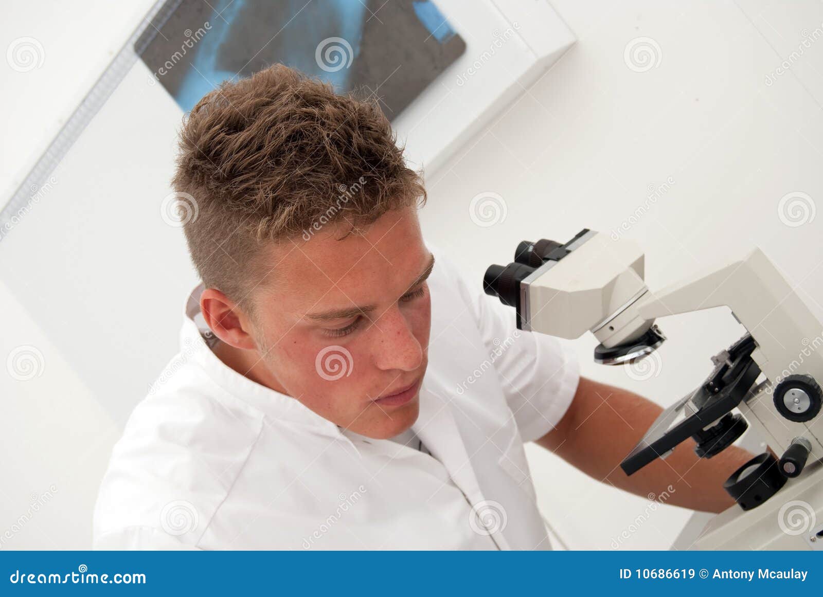 Male Lab Technician Looking at Test Results Stock Image - Image of ...