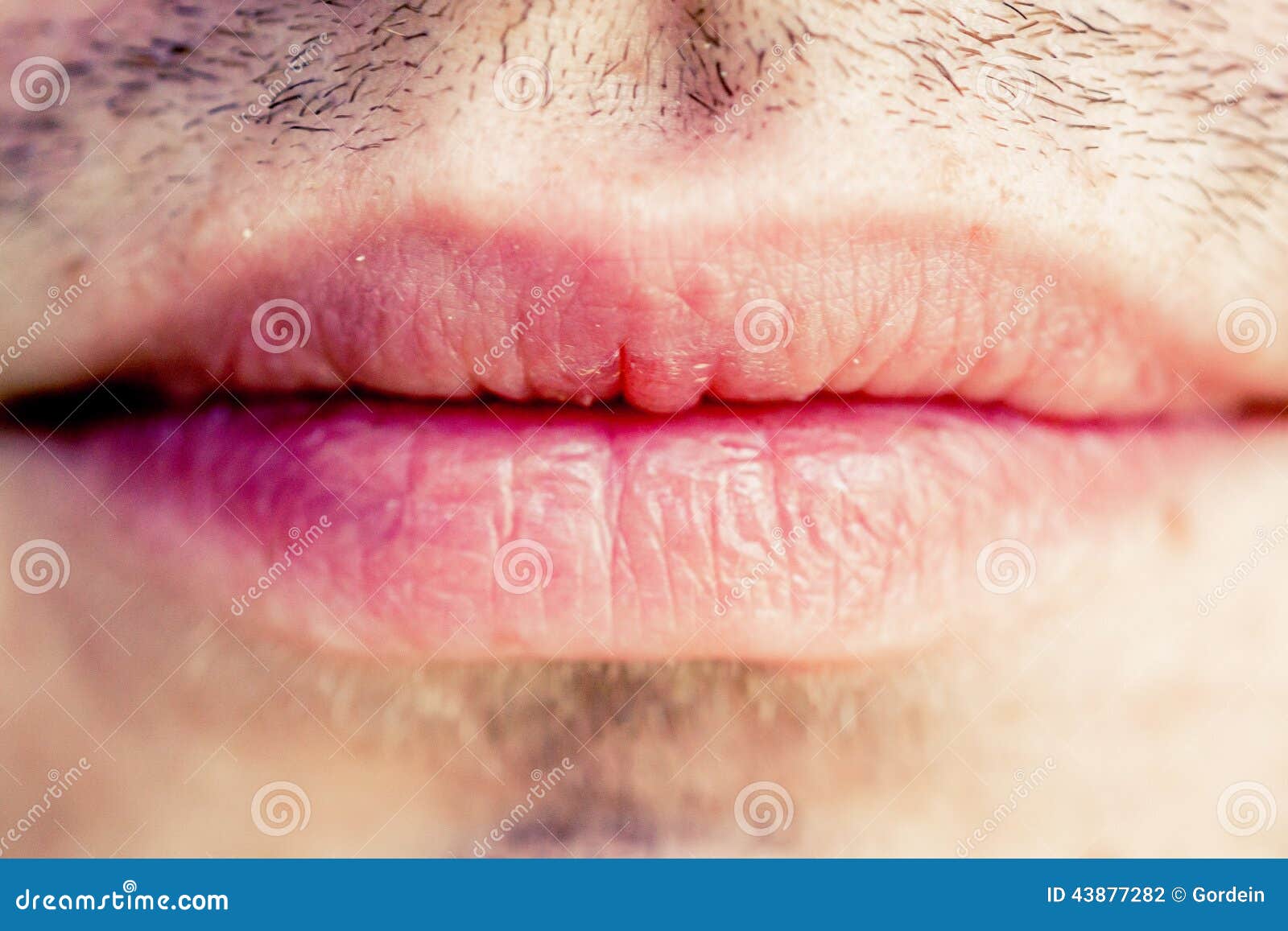 Male lips stock photo. Image of pink, mouth, macro, fresh - 43877282