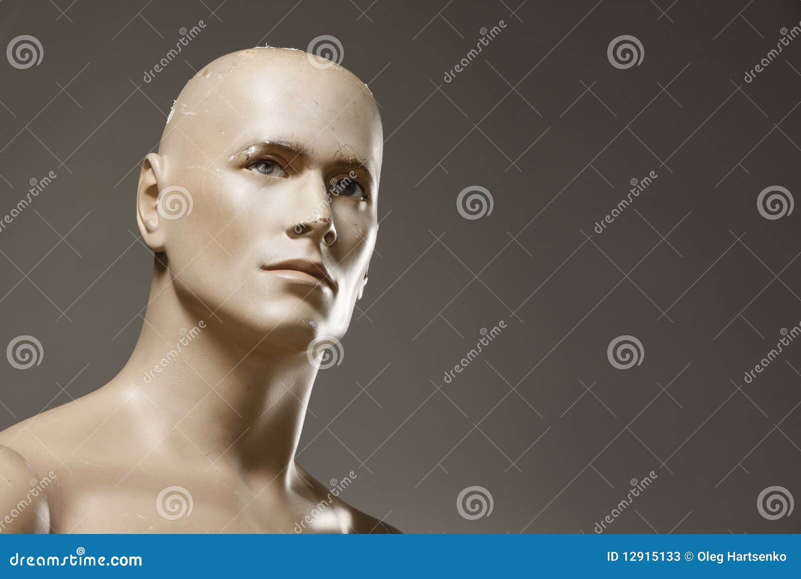 Male mannequin portrait stock image. Image of beige, plastic - 12915133