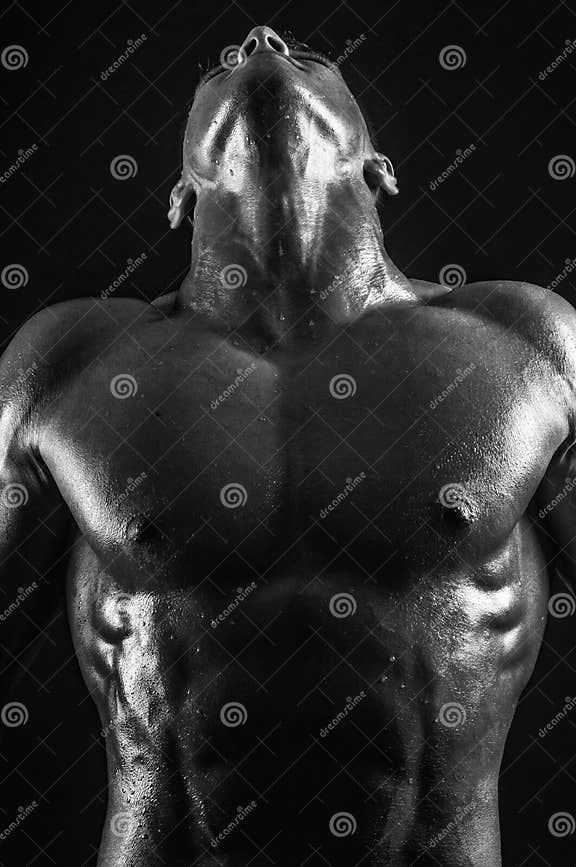 Male neck stock photo. Image of muscle, model, biceps - 26944014