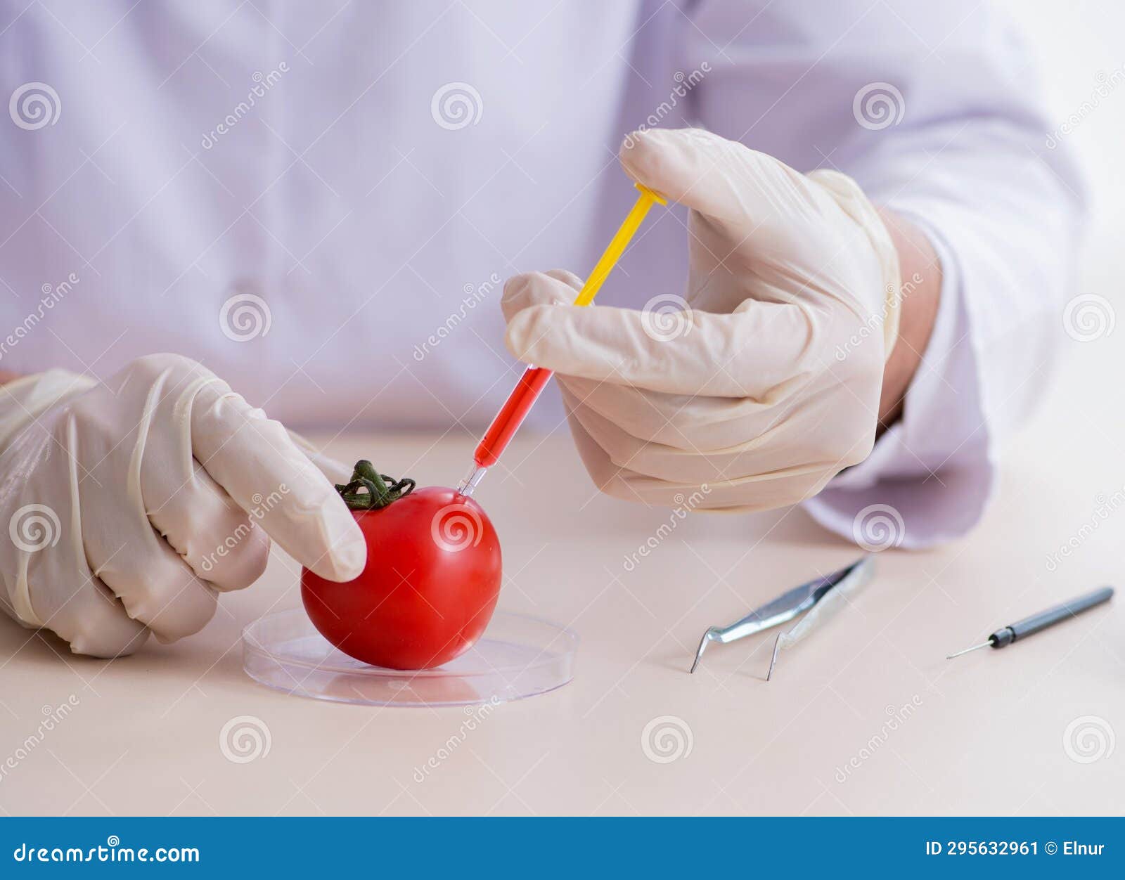 Male Nutrition Expert Testing Food Products in Lab Stock Image - Image ...