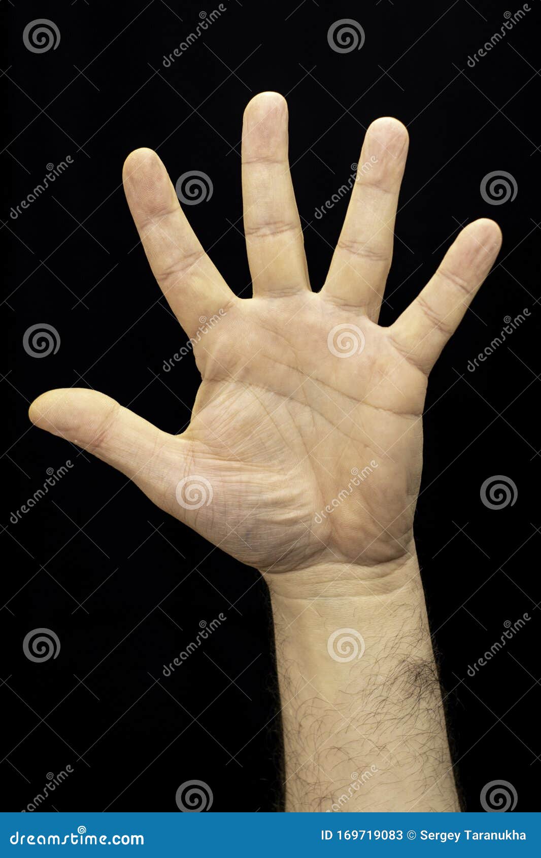 The Male Open Palm on Black Background with Spread Fingers Stock Image ...