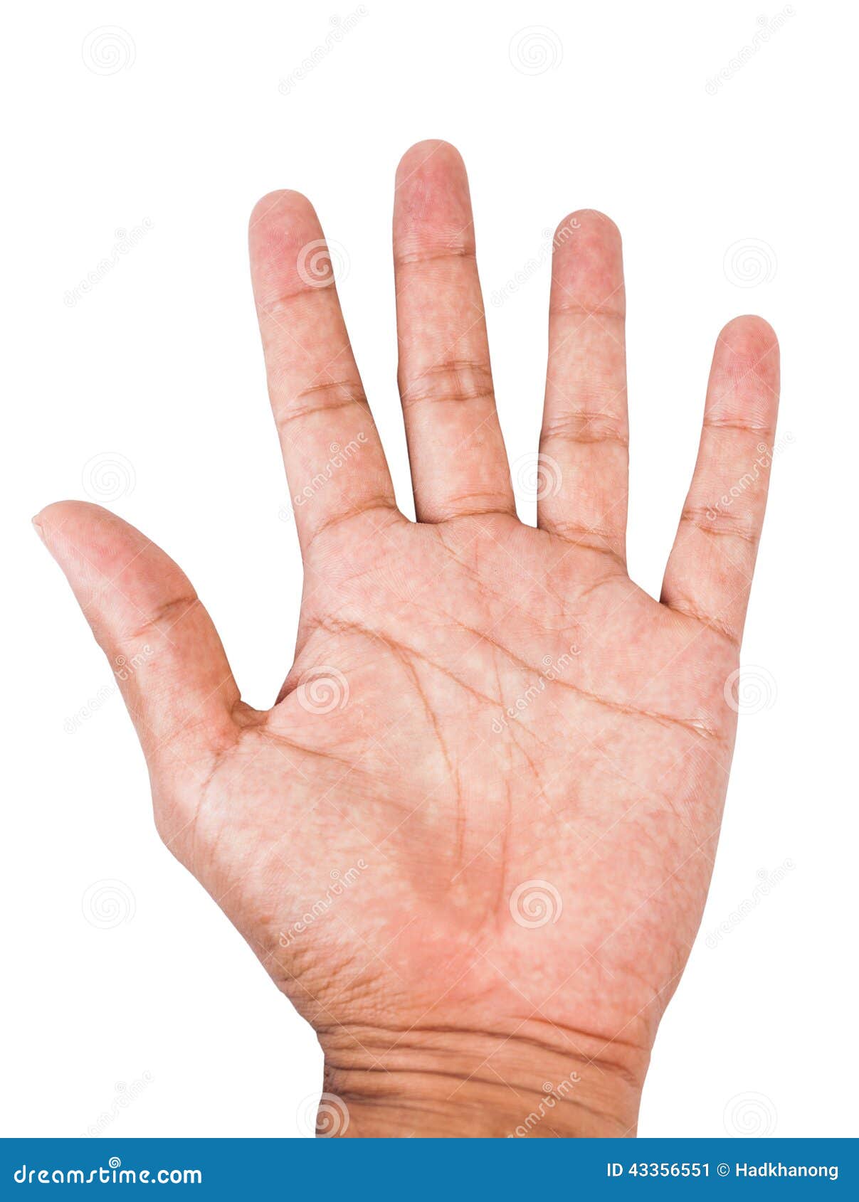 Male palm hand stock image. Image of skin, human, stop - 43356551