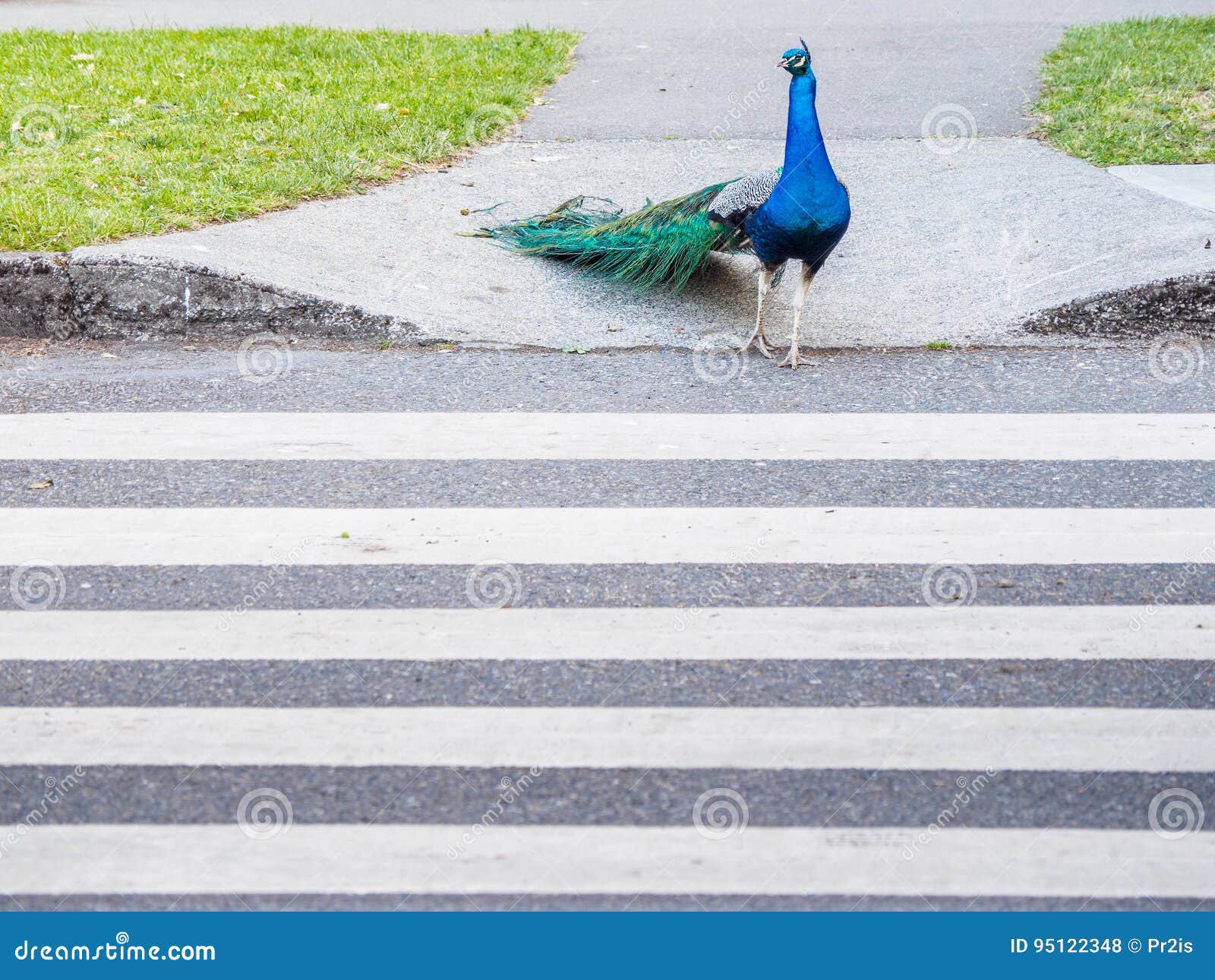 Road Using Pentagonal Concrete Blocks Stock Photography | CartoonDealer ...