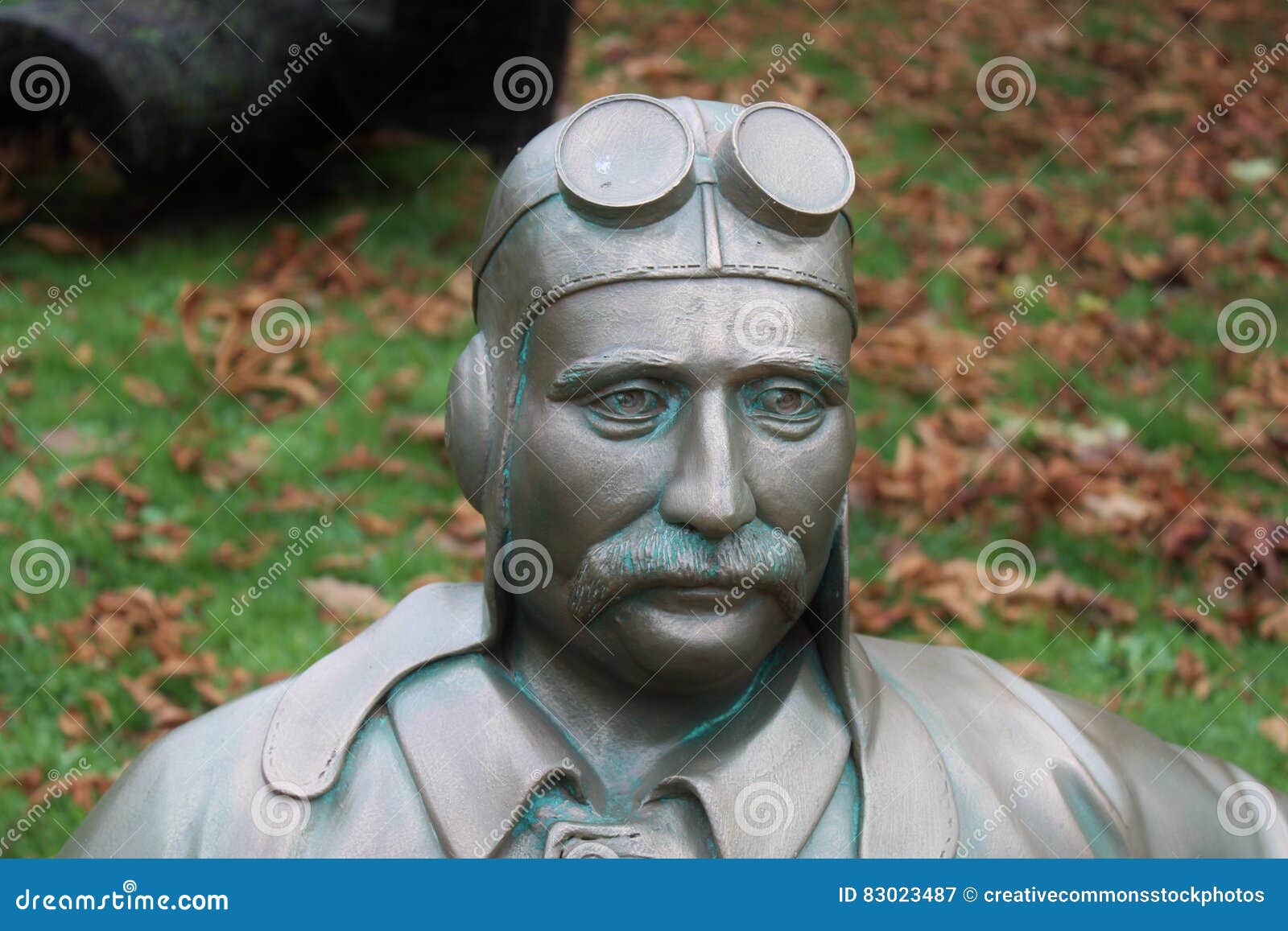 Male Pilot Statue Picture. Image: 83023487