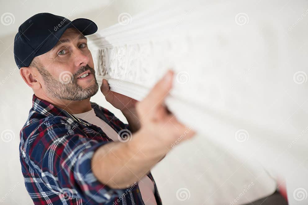 Male Plasterer Holds Ceiling Border Stock Photo - Image of white ...
