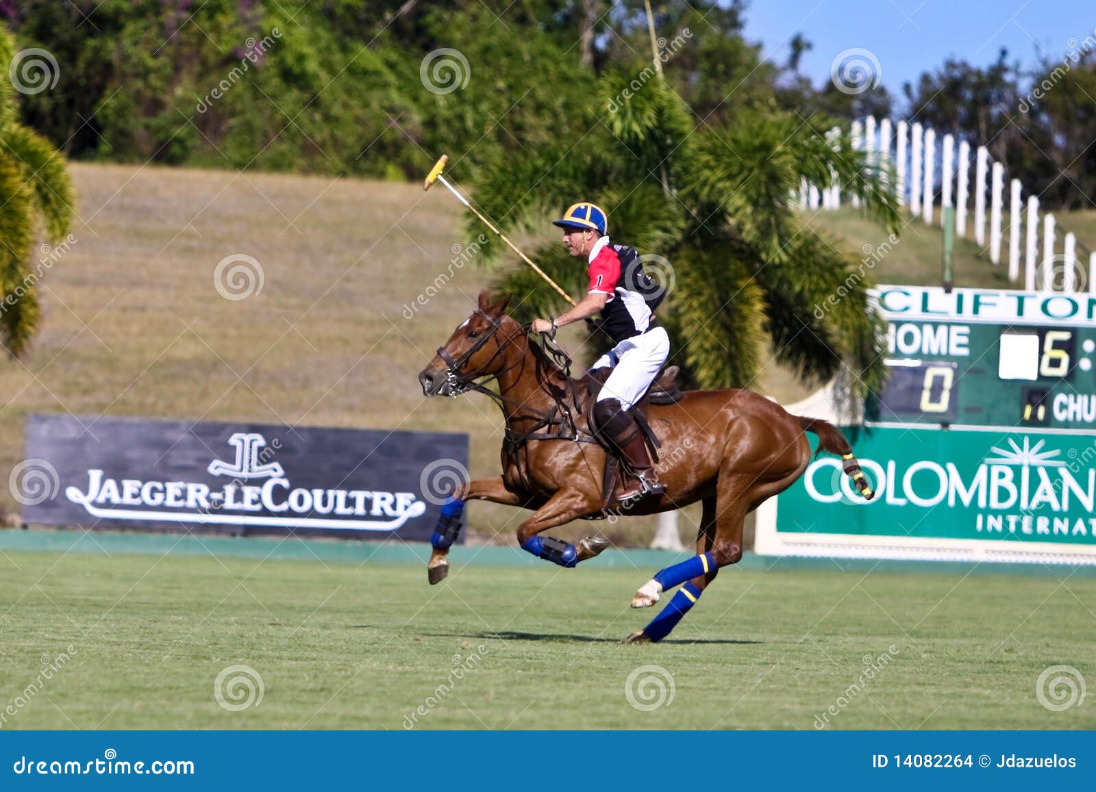 Male Polo Player editorial stock image. Image of field - 14082264