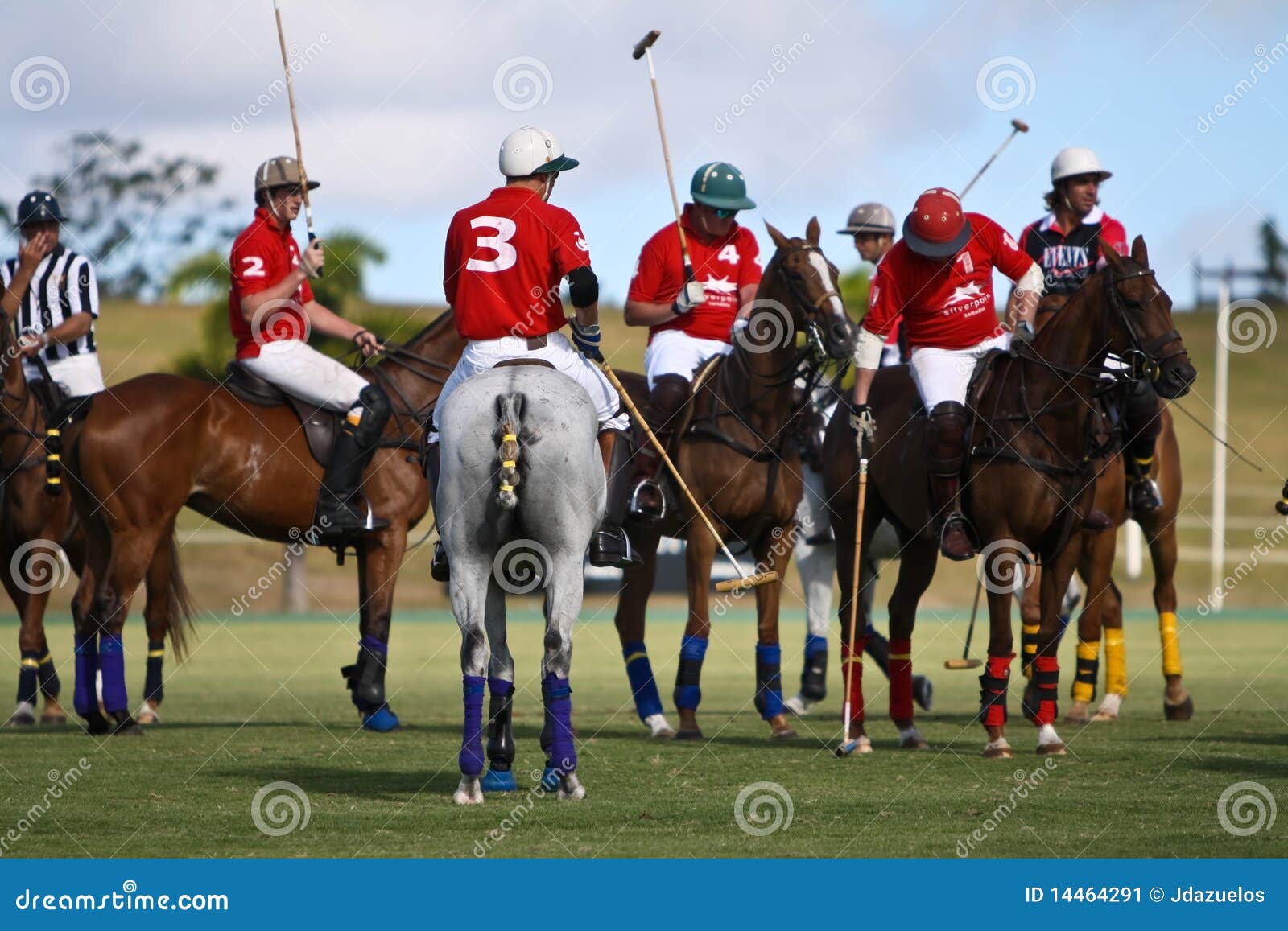 Male Polo Player editorial photo. Image of helmet, action - 14464291