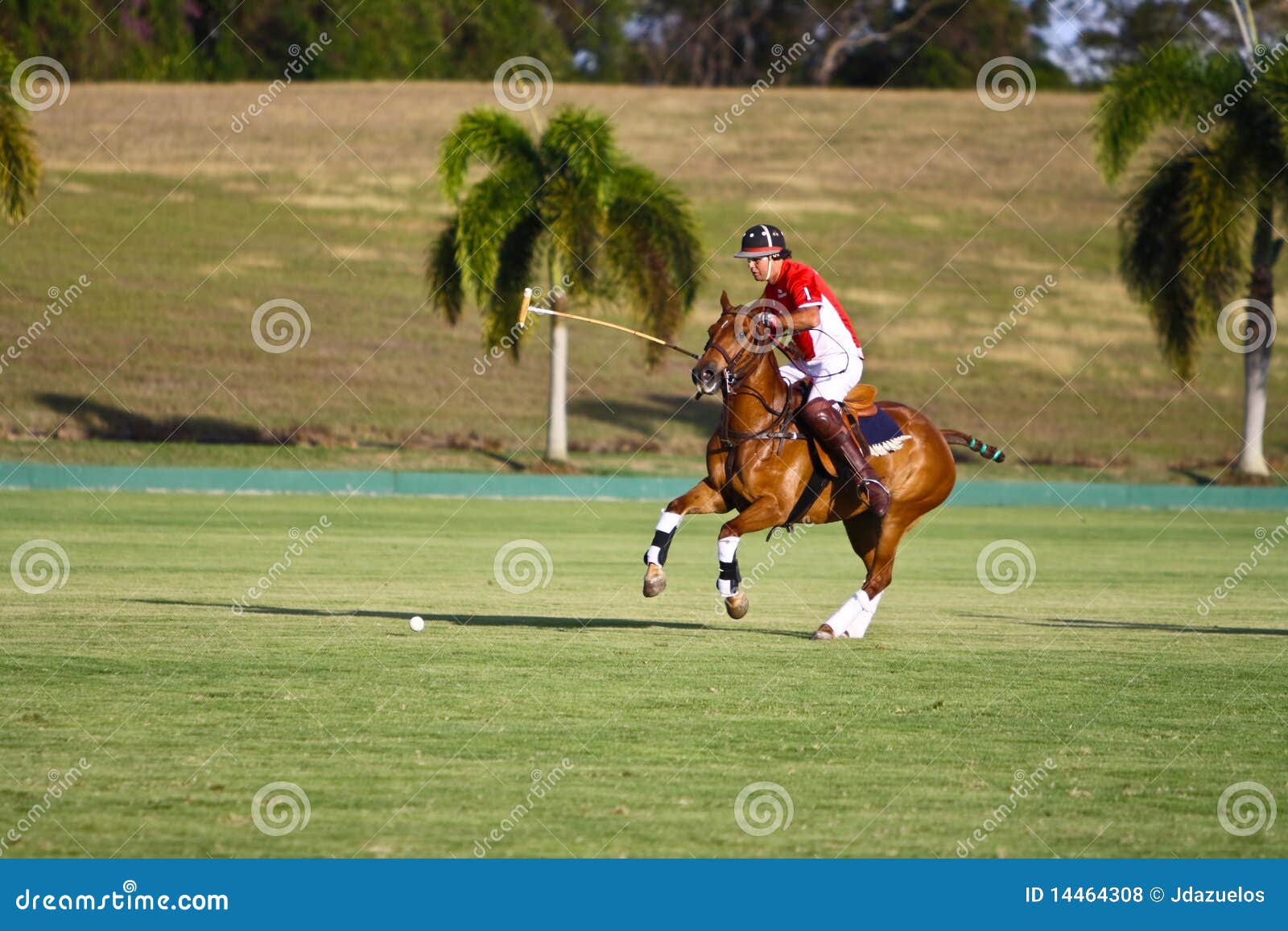 Male Polo Player editorial stock photo. Image of chase - 14464308