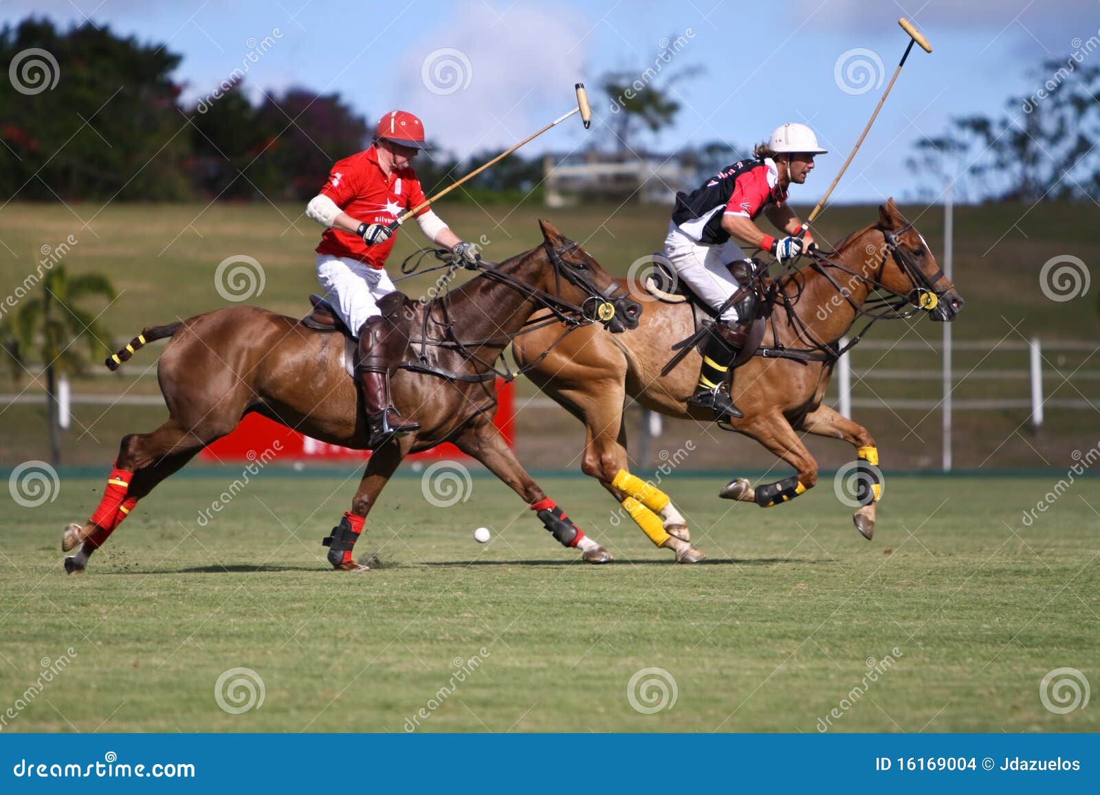 Male Polo Player editorial stock image. Image of experience - 16169004