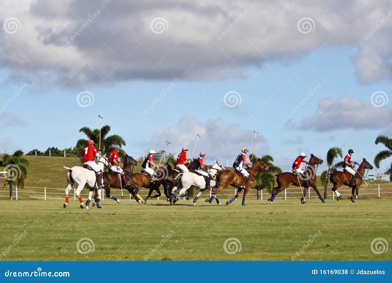Male Polo Player editorial stock photo. Image of chukka - 16169038