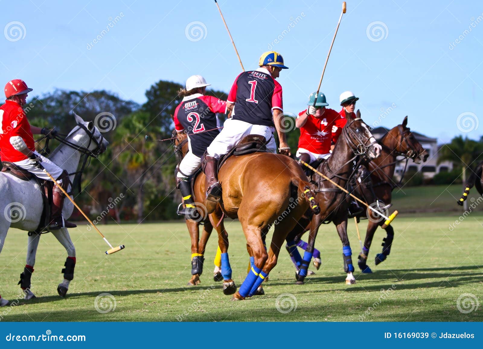 Male Polo Player editorial stock image. Image of chukka - 16169039