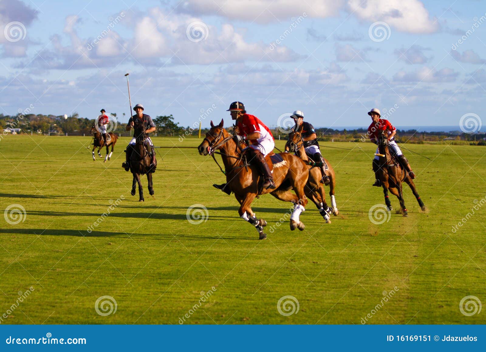 Male Polo Player editorial photo. Image of equine, goal - 16169151