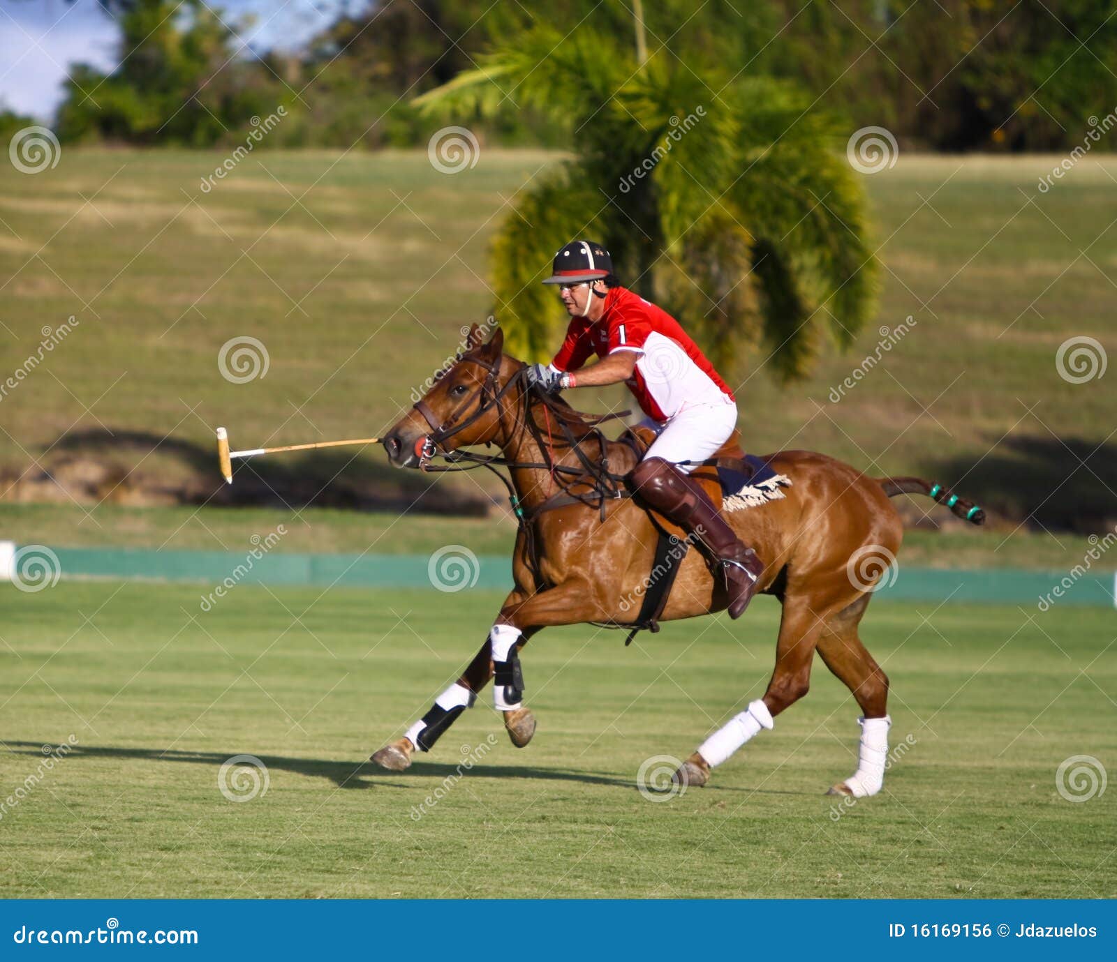 Male Polo Player editorial photo. Image of goal, equine - 16169156