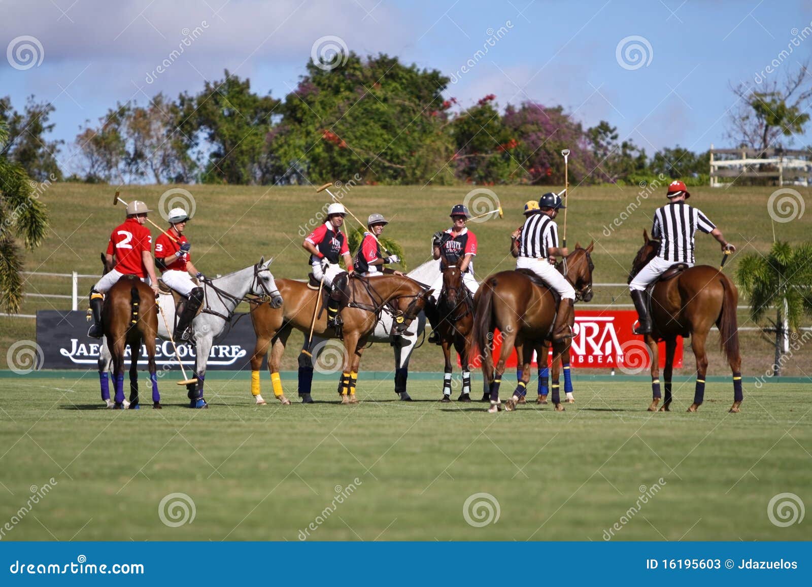 Male Polo Player editorial stock photo. Image of horses - 16195603