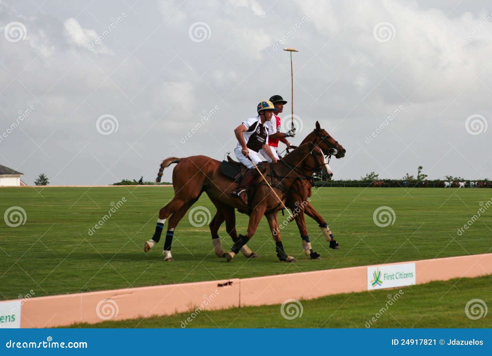 Male Polo Players editorial photo. Image of game, compete - 24917821