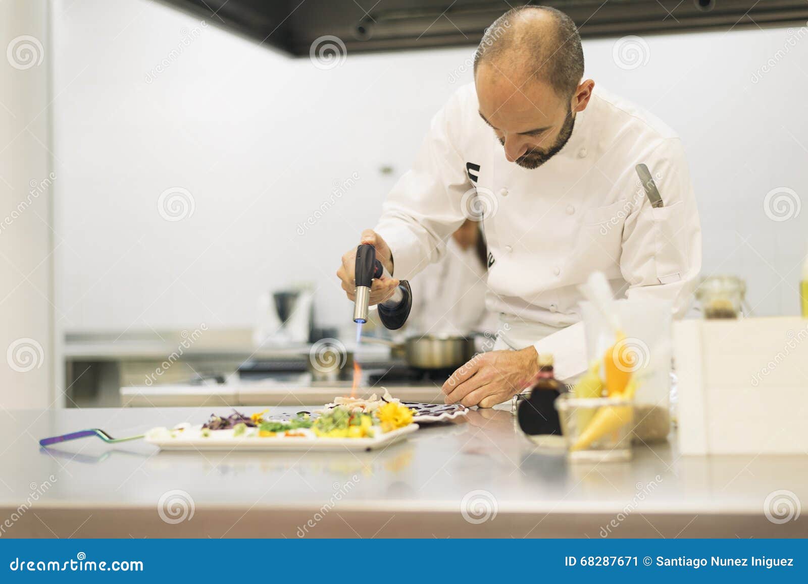 Male Professional Chef Cooking. Stock Image - Image of preparation ...