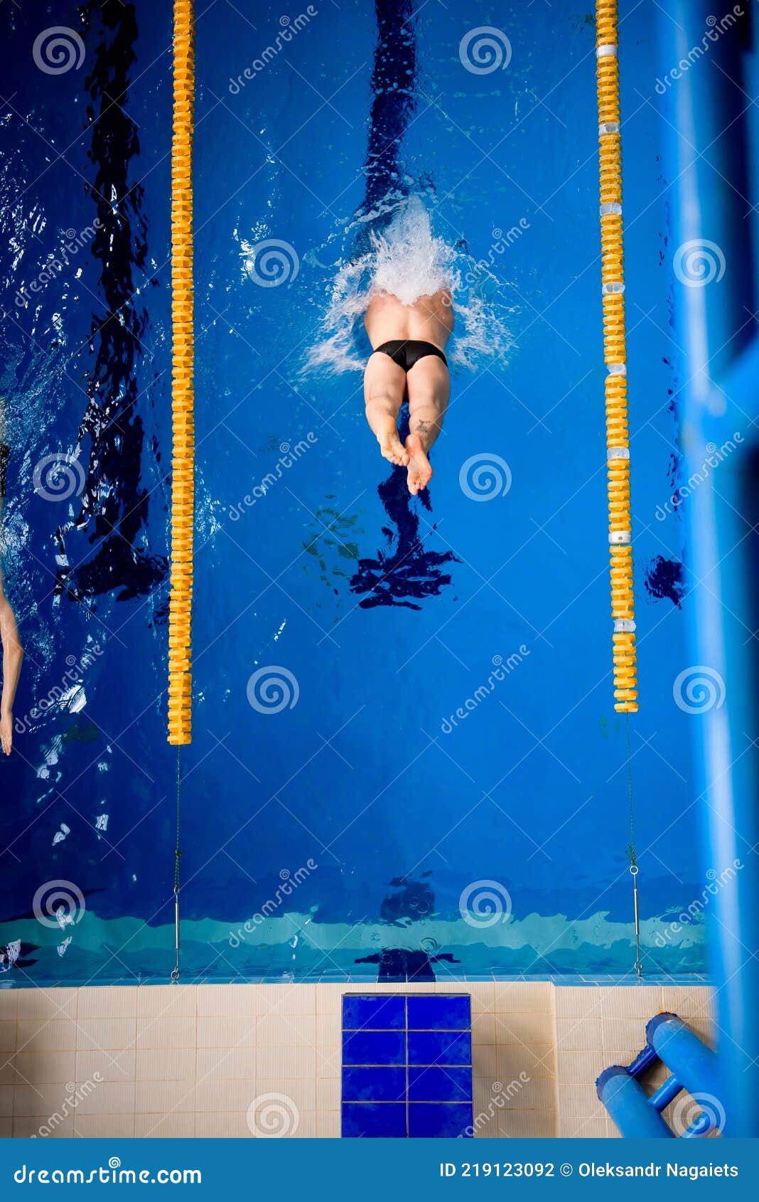 Male Professional Competitive Swimmer in Swimming Pool Stock Photo ...