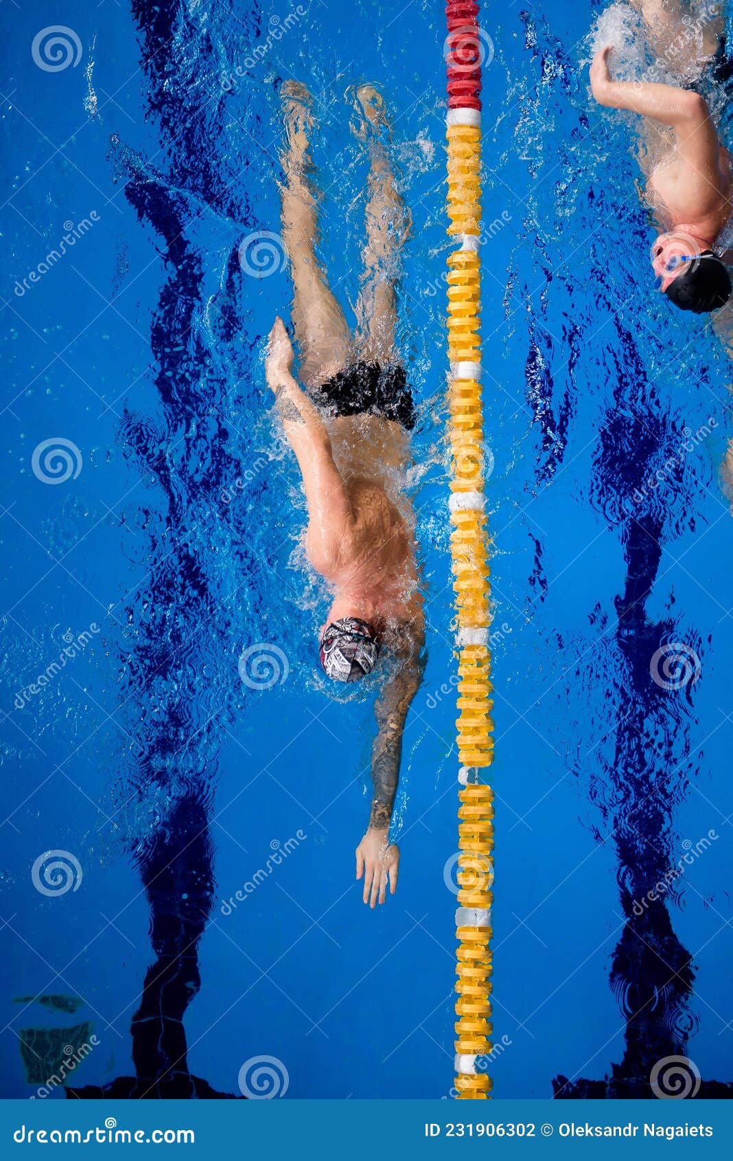 Male Professional Competitive Swimmer in Swimming Pool Stock Photo ...