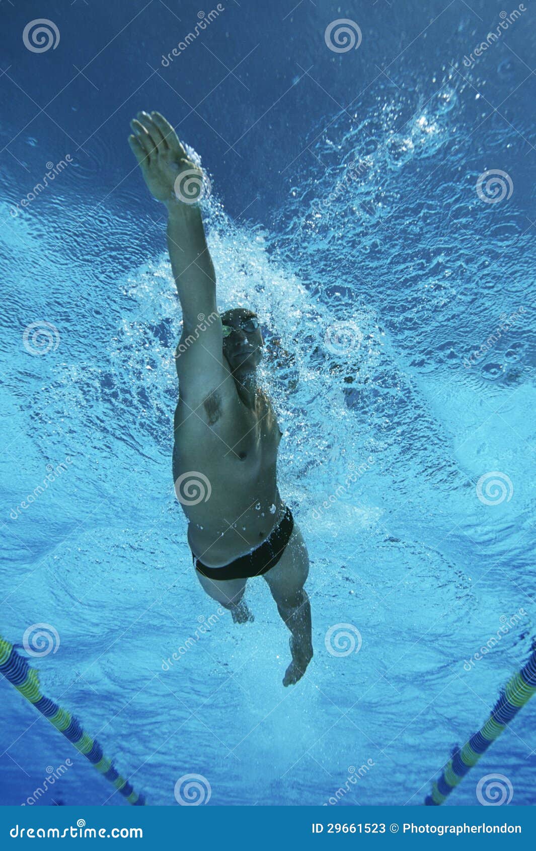 Male Professional Swimmer in Pool Stock Image - Image of profession ...