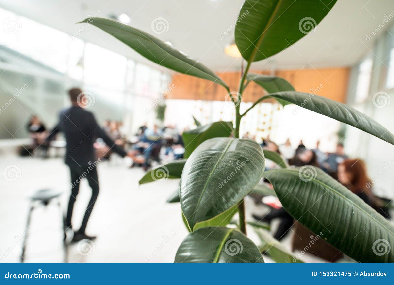 Male Professor Conducts Training in Front of a Large Audience Stock ... Male Professor Conducts Training in Front of a Large Audience Stock ...