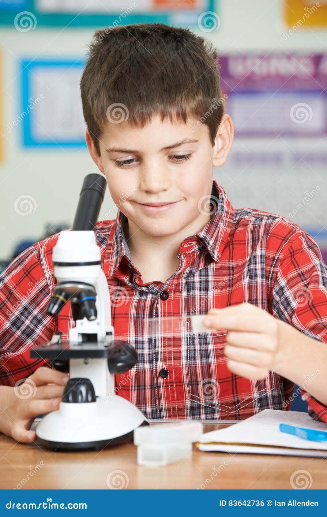 Male Pupil Using Microscope in Science Lesson Stock Photo - Image of ...