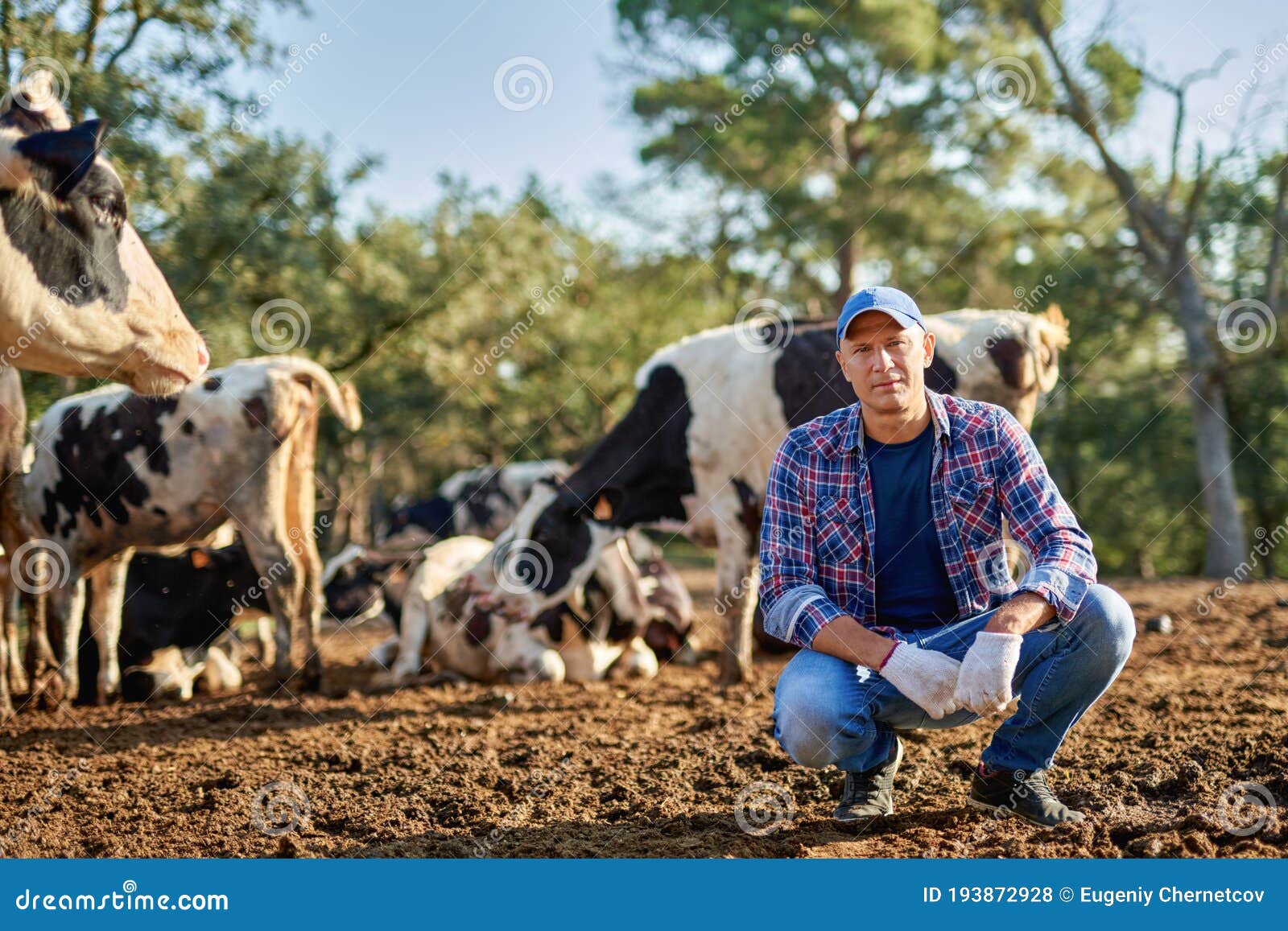 Male rancher in a farm. stock photo. Image of countryside - 193872928