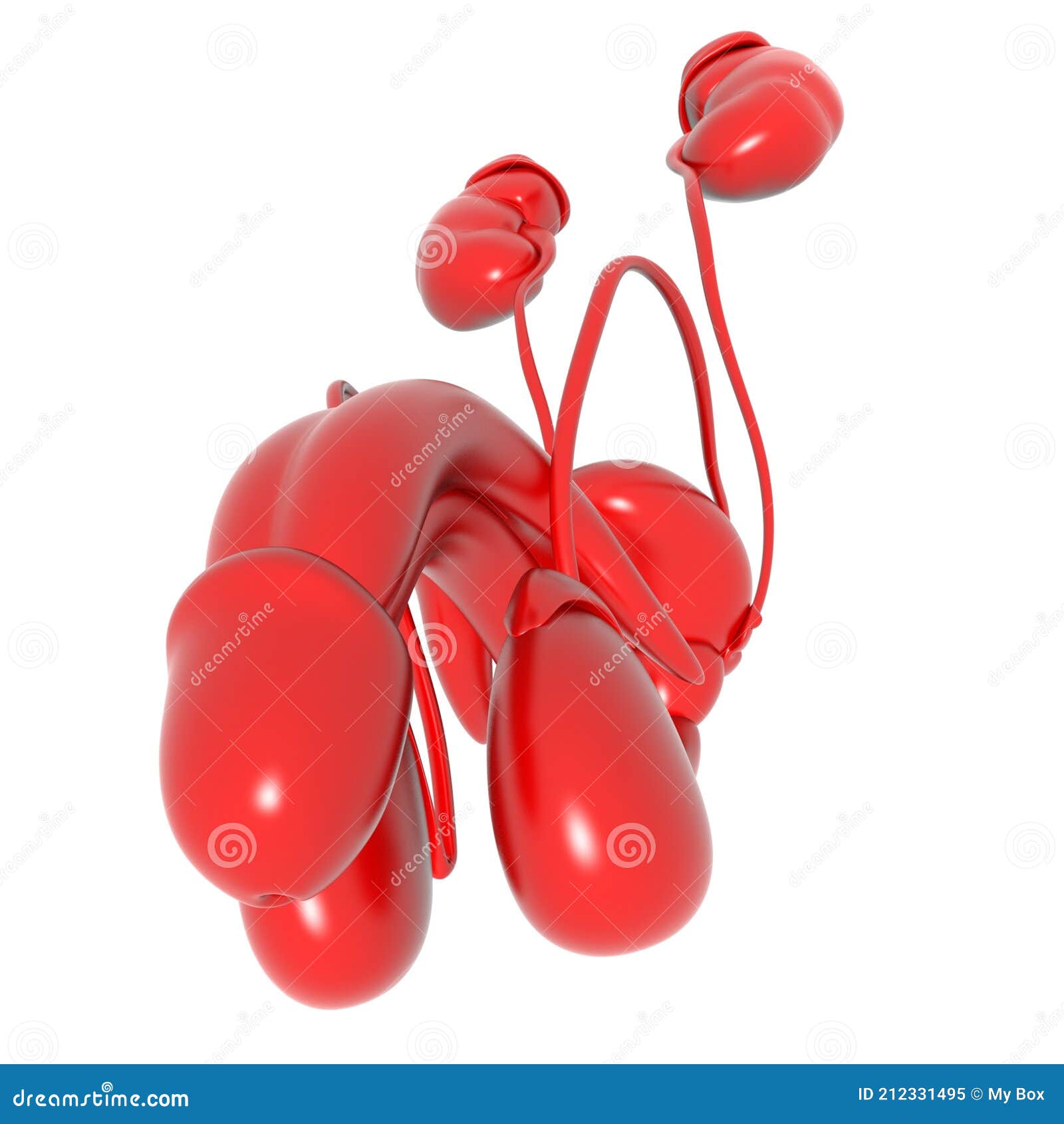 Male Reproductive System Anatomy For Medical Concept 3d Rendering Stock