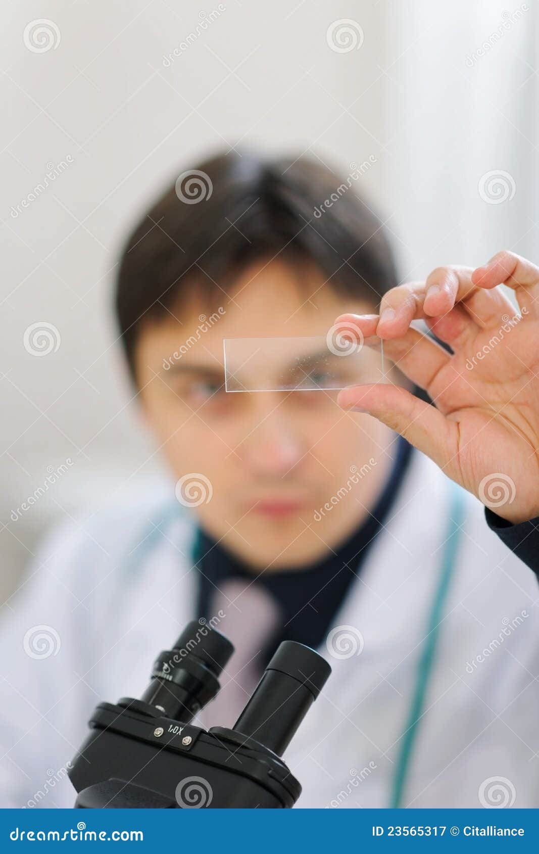 Male Researcher Checking Sample Stock Image - Image of liquids ...