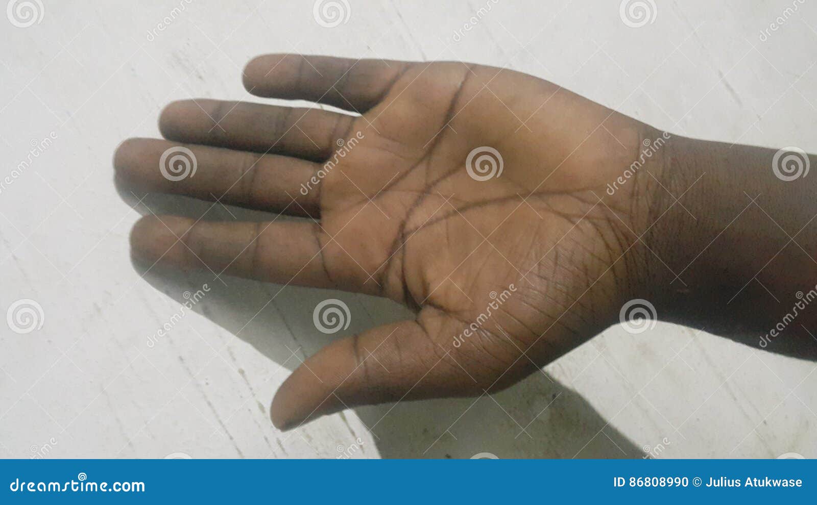 Male s left Hand stock photo. Image of left, nature, hand - 86808990