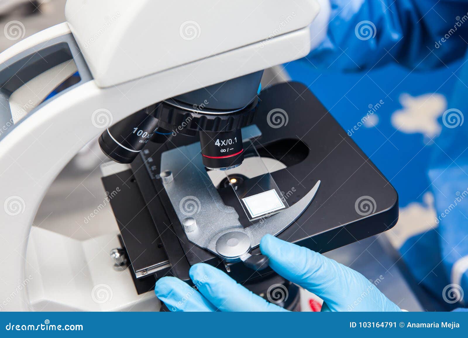 Male Scientist Looking at Slides Under the Microscope Stock Image ...