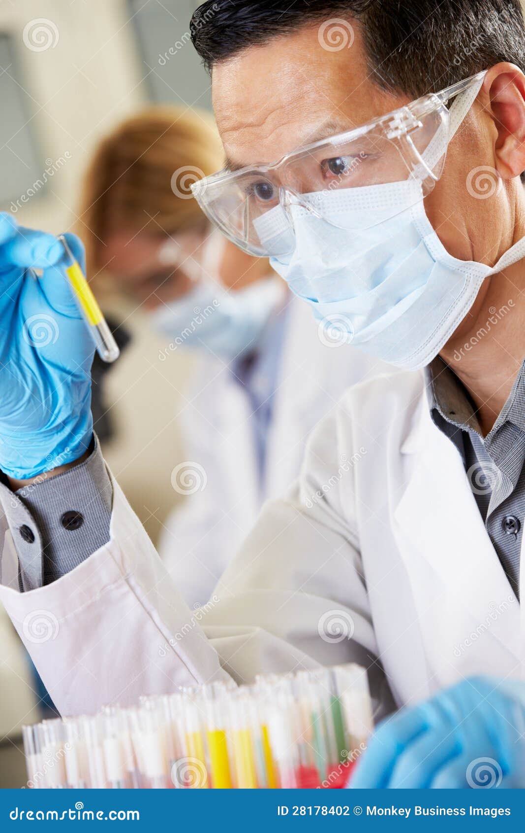 Scientist Studying Dna Branches For Additional Information In Cloning ...