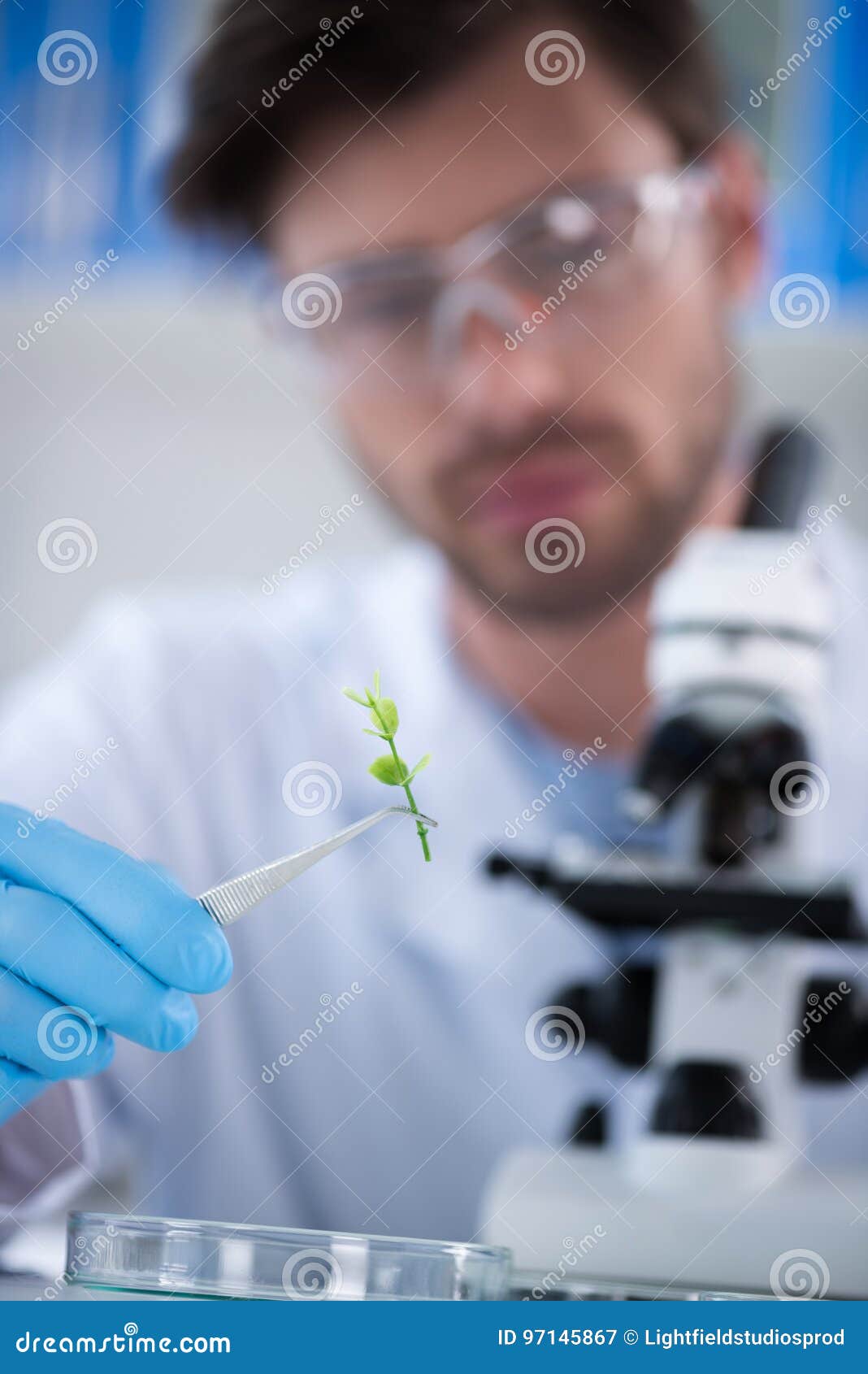Male Scientist during Work at Modern Biological Laboratory Stock Image ...