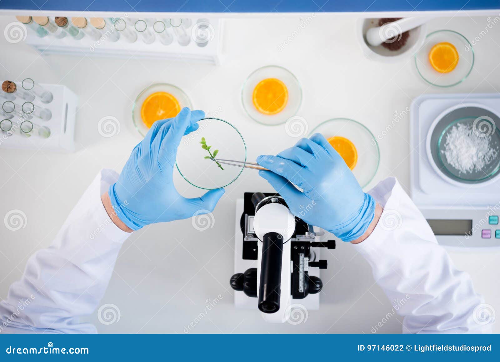 Male Scientist during Work at Modern Biological Laboratory Stock Photo ...