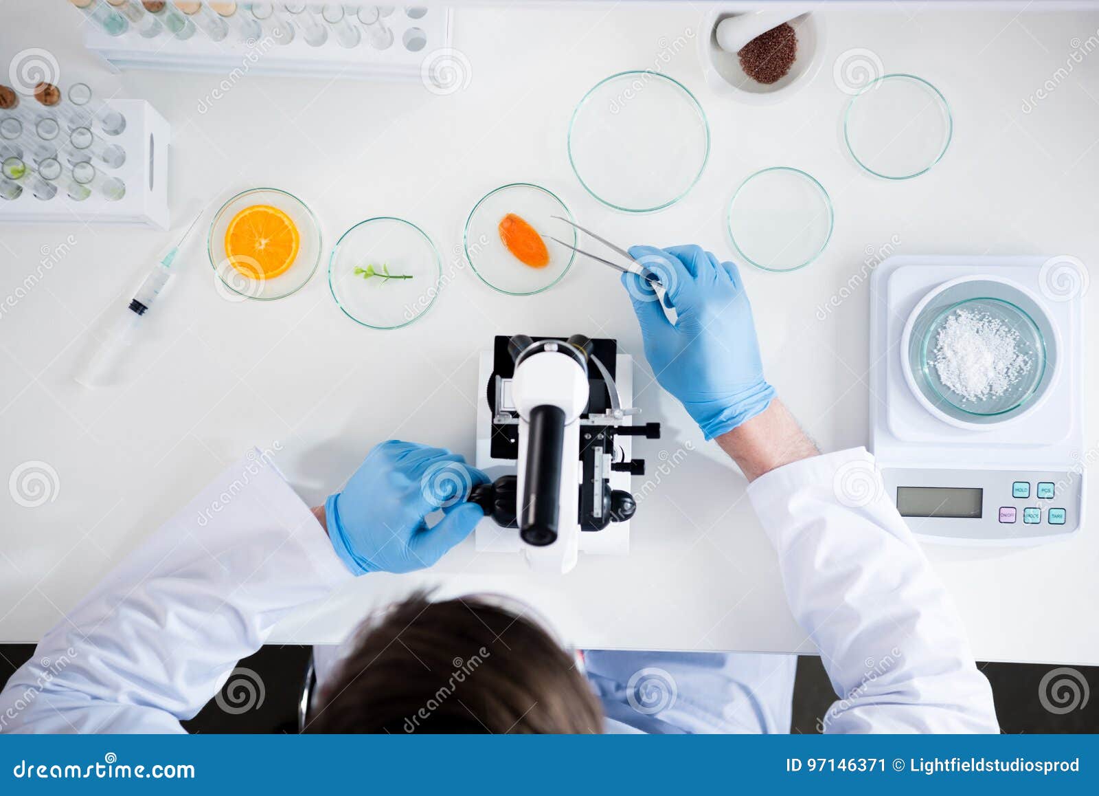 Male Scientist during Work at Modern Biological Laboratory Stock Image ...
