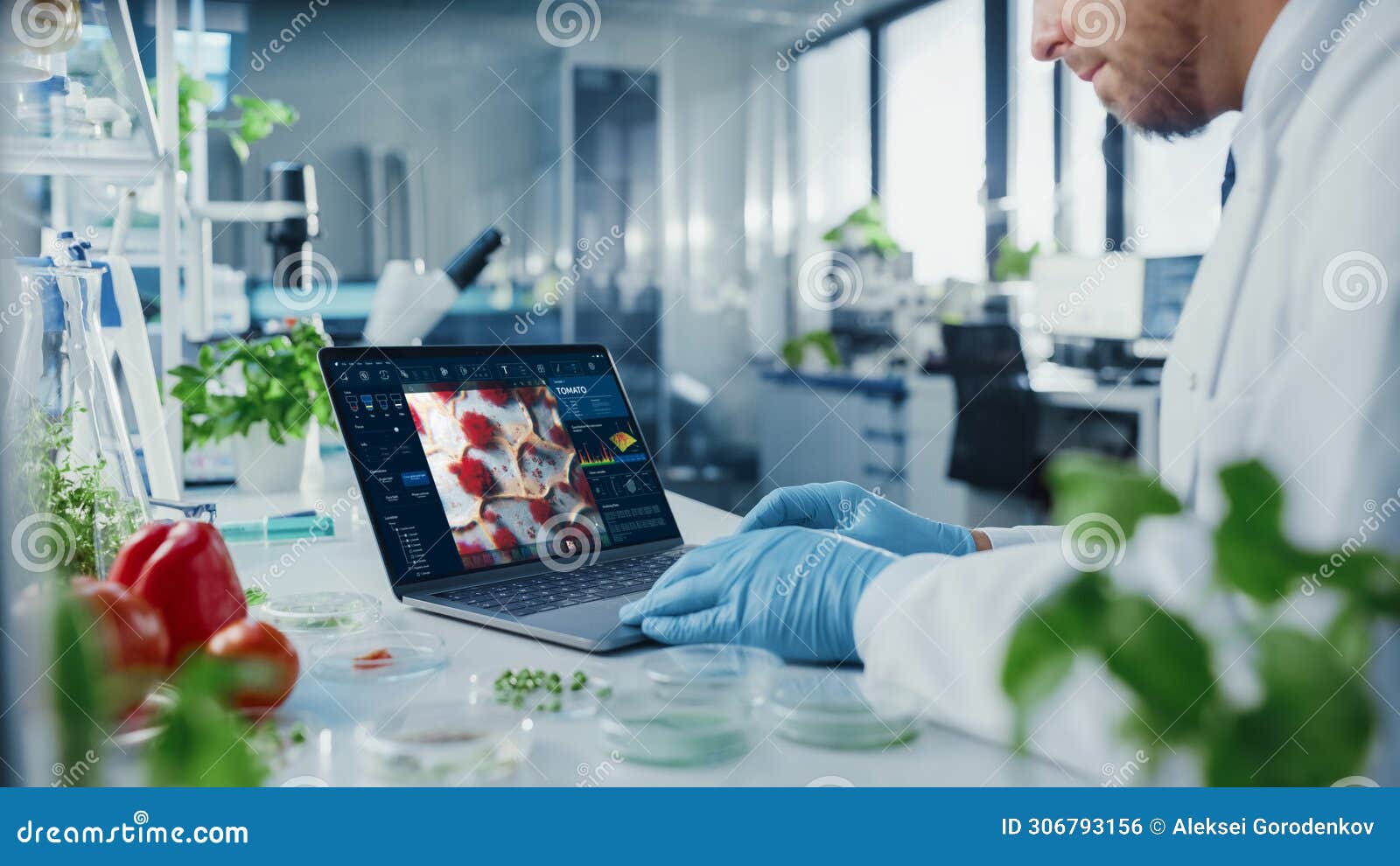Male Scientist Working on a Laptop Computer with Display Showing Gene ...