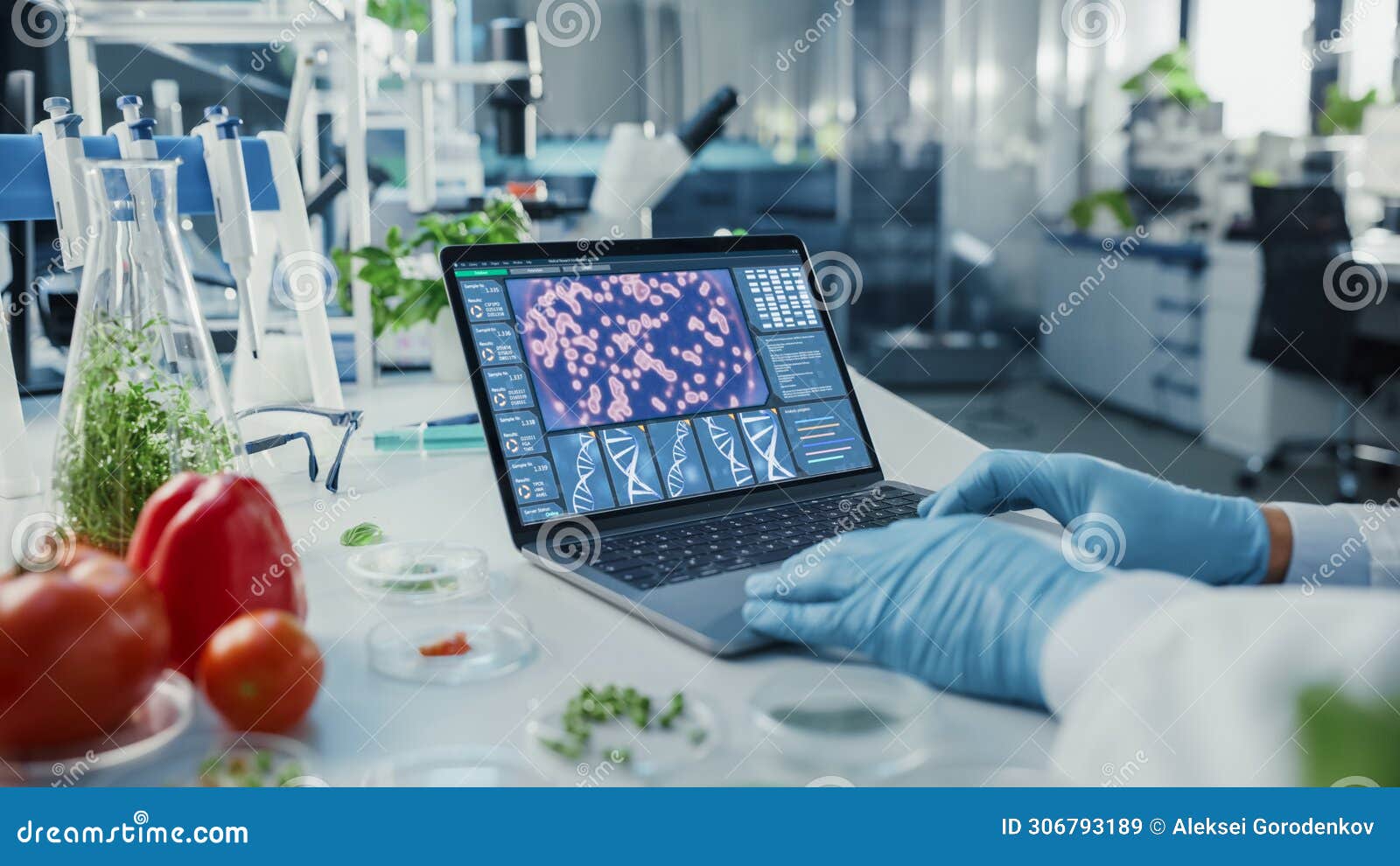 Male Scientist Working on a Laptop Computer with Display Showing Gene ...