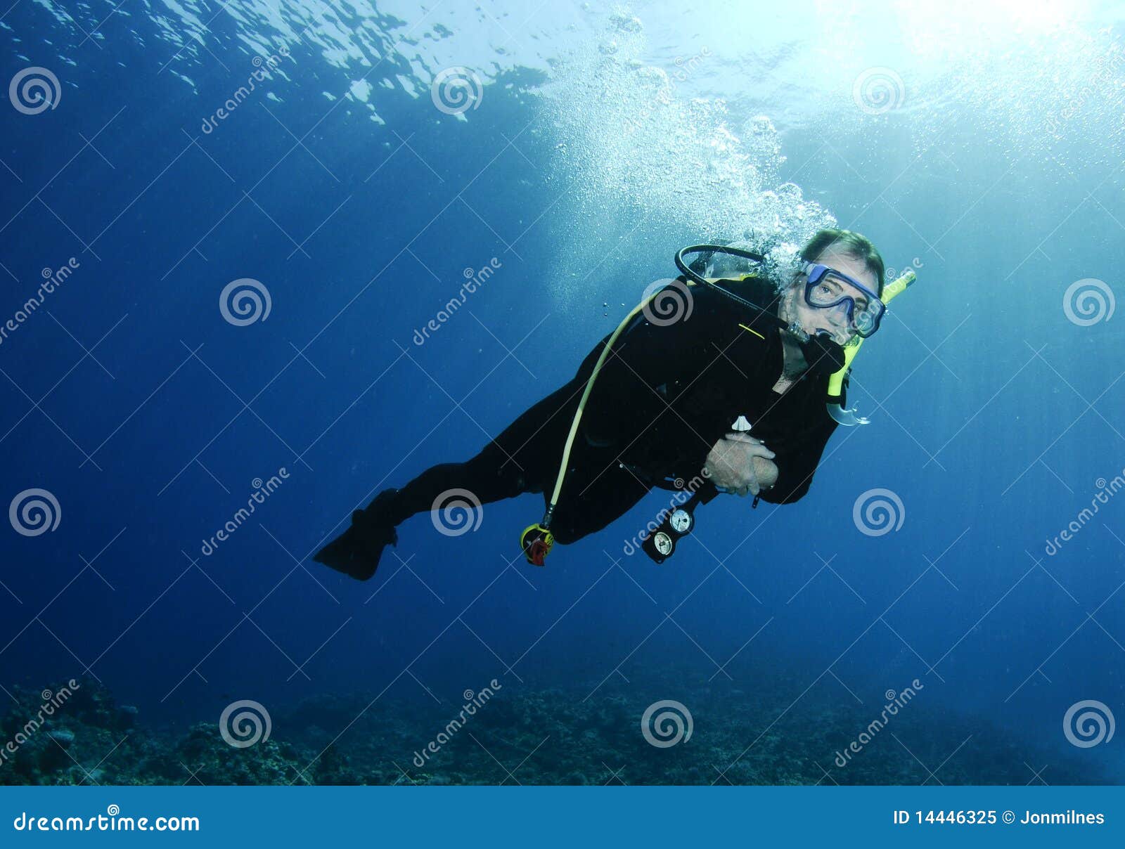 Male scuba diver stock image. Image of scuba, marine - 14446325