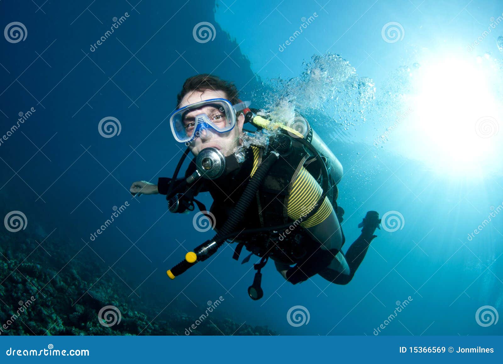 Male scuba diver stock image. Image of reef, underwater - 15366569