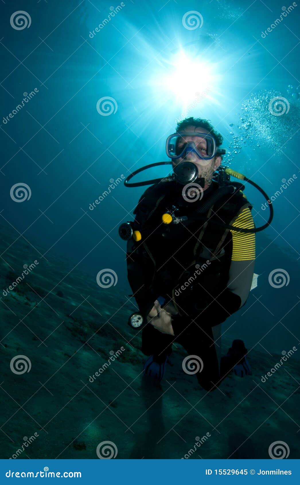 Male scuba diver stock image. Image of swimming, sport - 15529645
