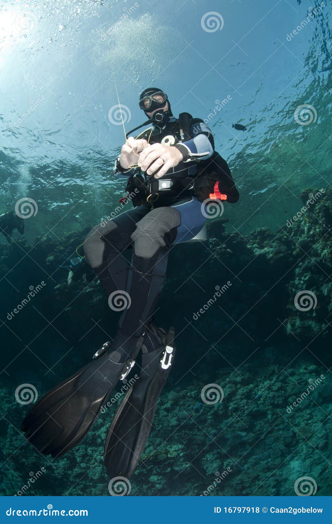 Male Scuba Diver Holding a Surface Buoy. Stock Photo - Image of ...