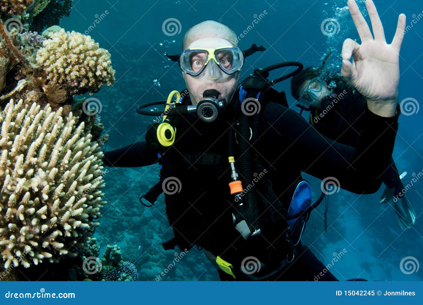 Male Scuba Diver Ok Sighn Stock Photos - Free & Royalty-Free Stock ...
