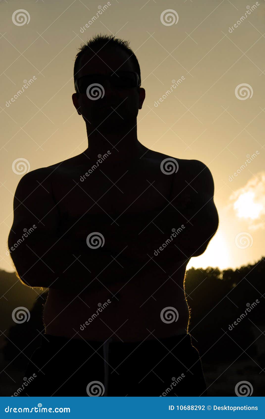 Male Silhouette stock photo. Image of strong, brawn, male - 10688292