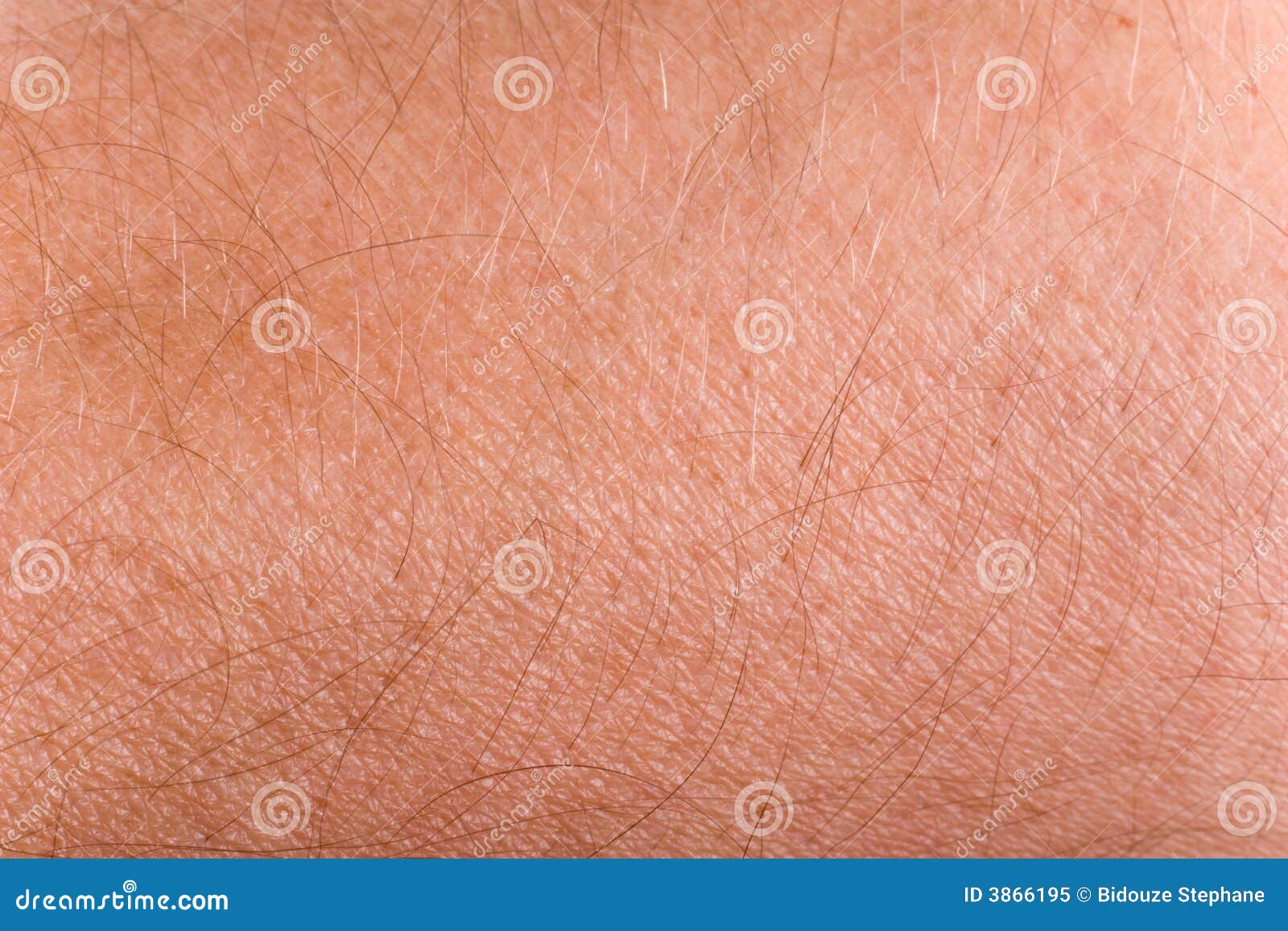 Male skin closeup stock image. Image of healthcare, human - 3866195