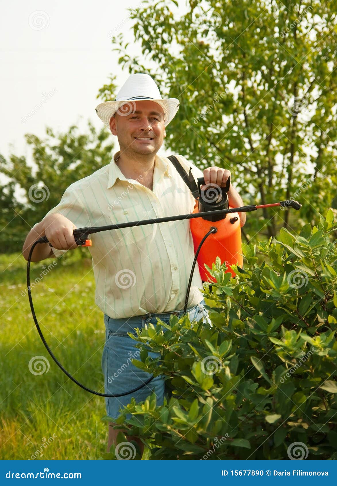 Male Spraying Tree Branches Stock Photo - Image of grass, pesticide ...