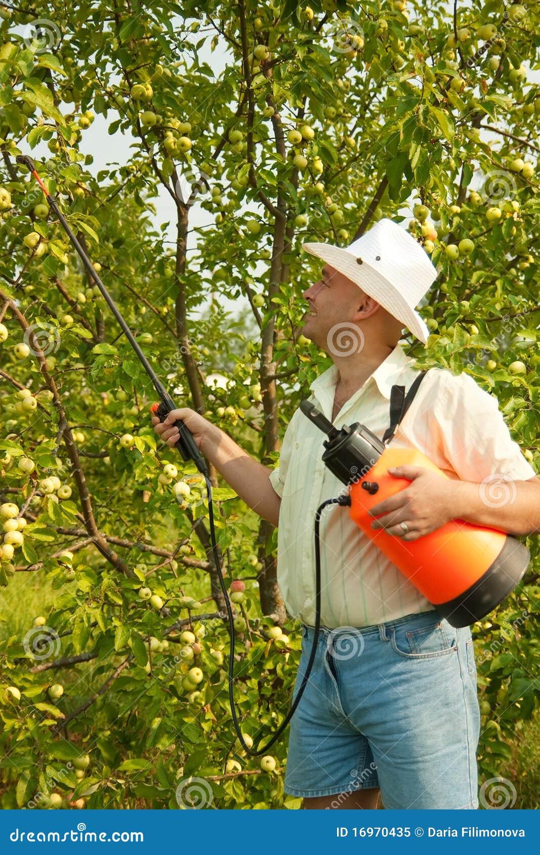 Male Spraying Tree Branches Stock Image - Image of spraying ...