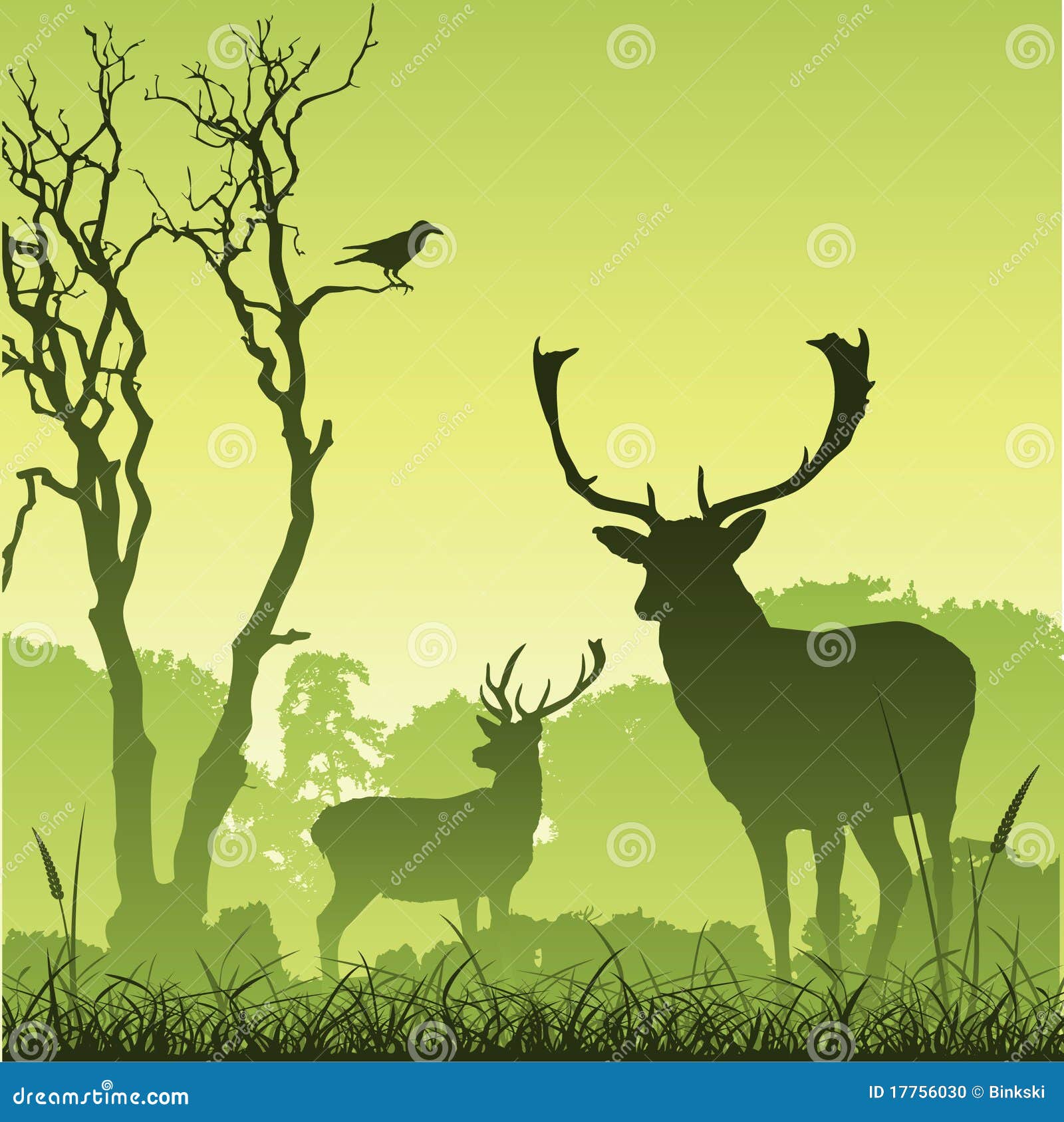 Stag. Deer. Wild Red Buck, Symbolizing Power, Protection, Dignity, Etc ...