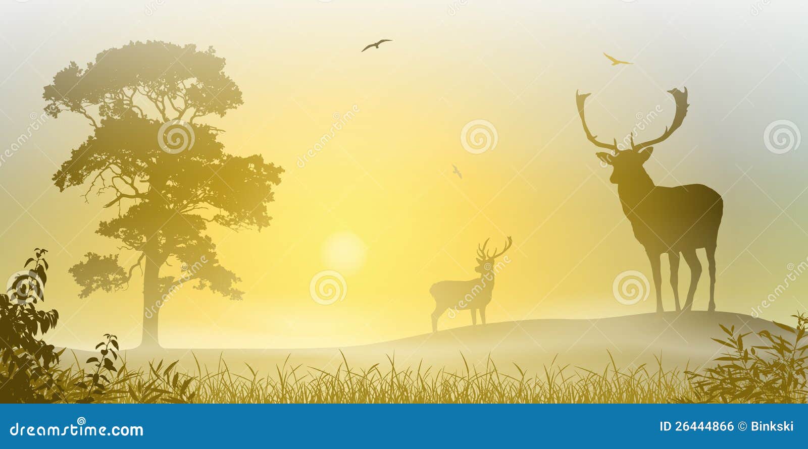 Stag. Deer. Wild Red Buck, Symbolizing Power, Protection, Dignity, Etc ...