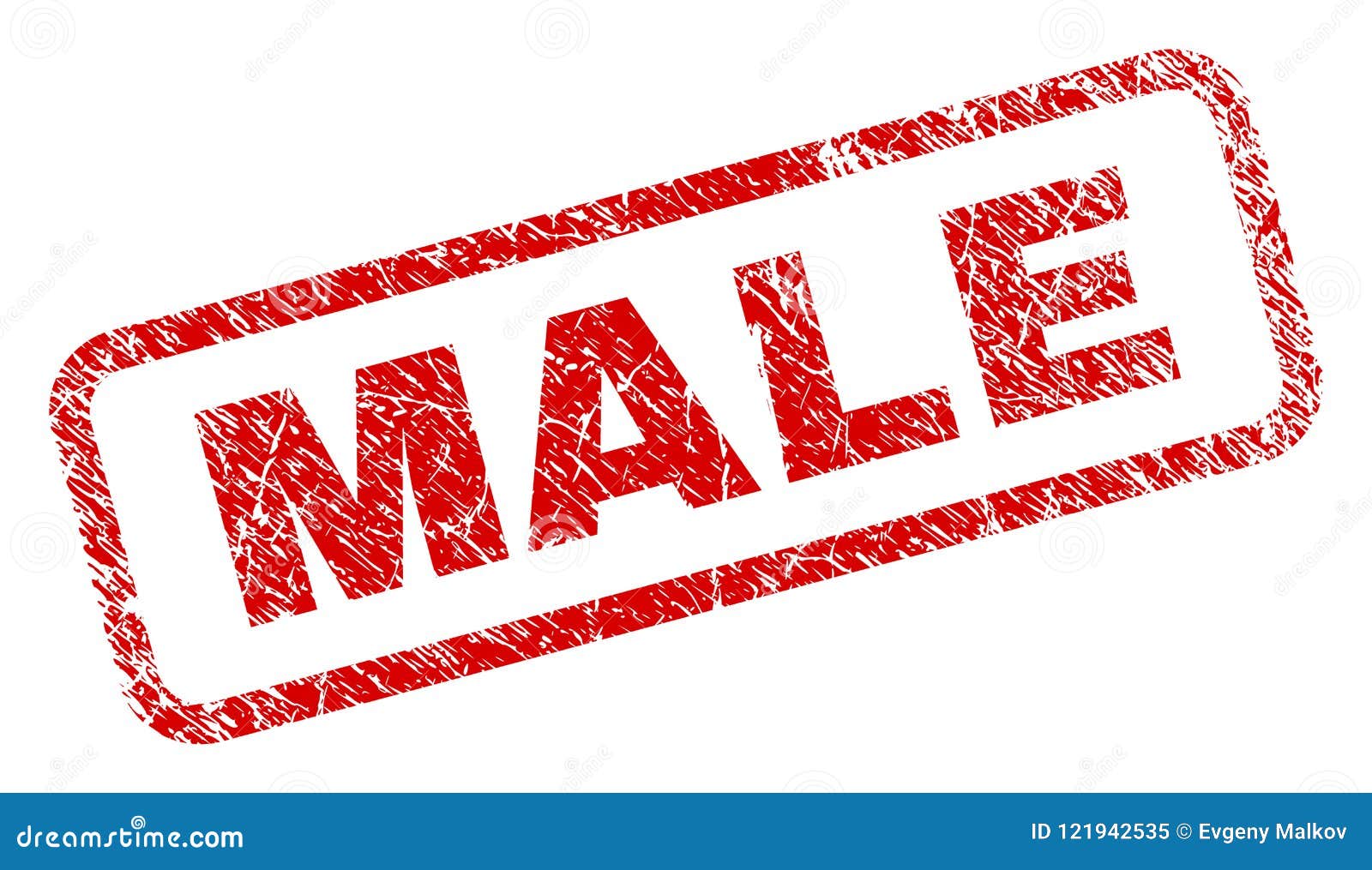 Scratched MALE Rounded Rectangle Stamp Stock Vector - Illustration of ...